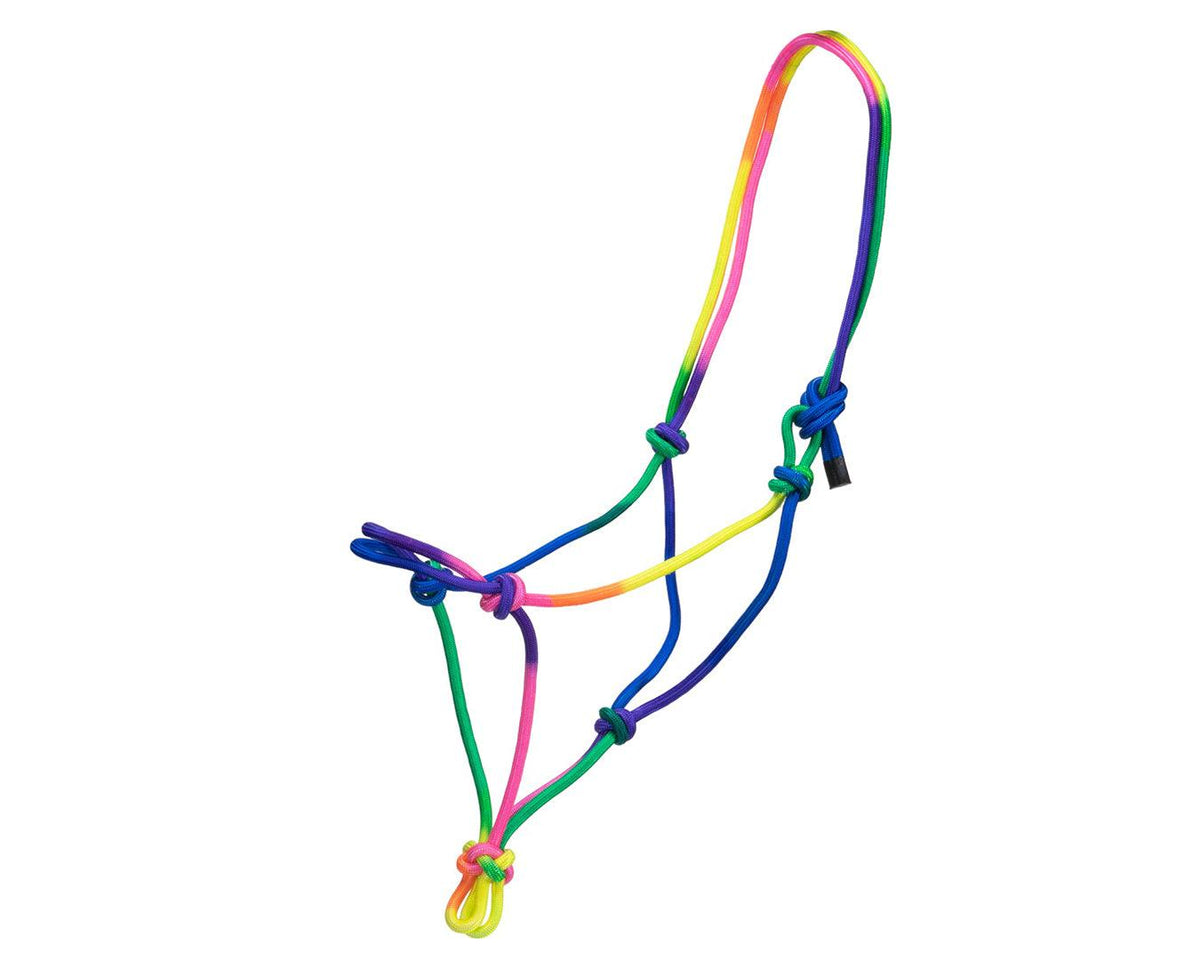Bambino Rainbow Rope Halter | Halters & Lead Ropes – Greg Grant Saddlery