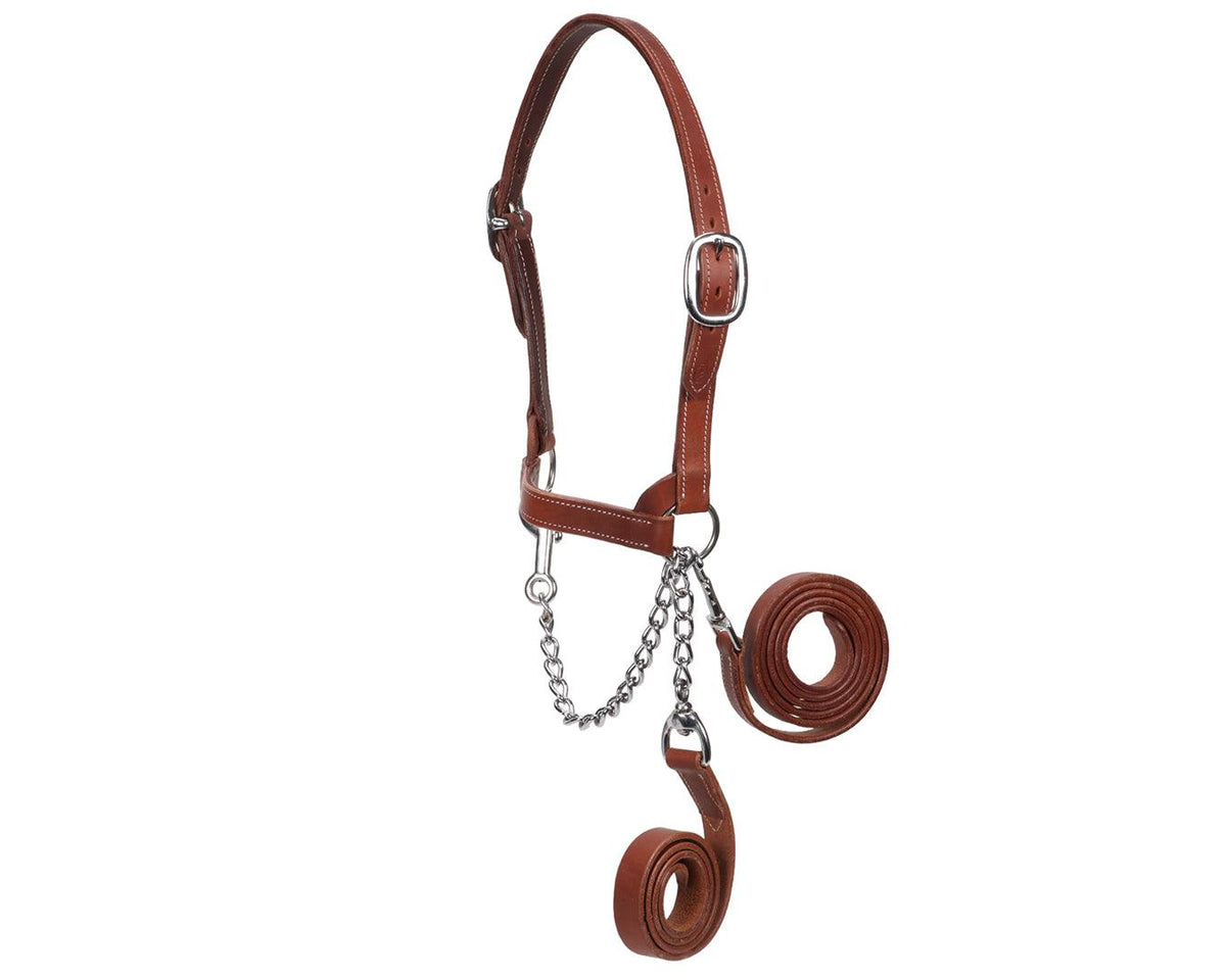 Fort Worth Show Cattle Halter - Harness – Greg Grant Saddlery