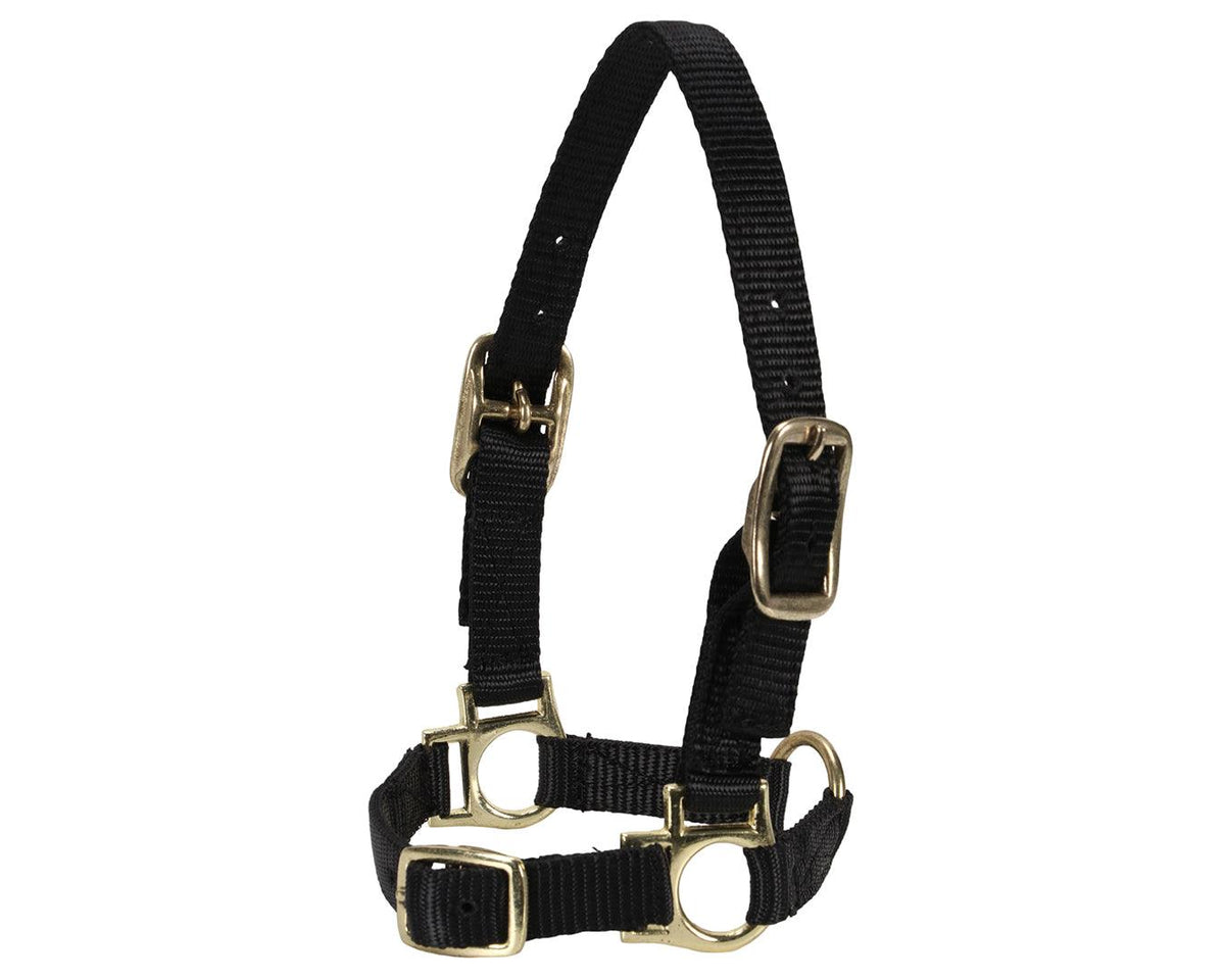 Sheep Halter w/Adjustable Noseband – Greg Grant Saddlery