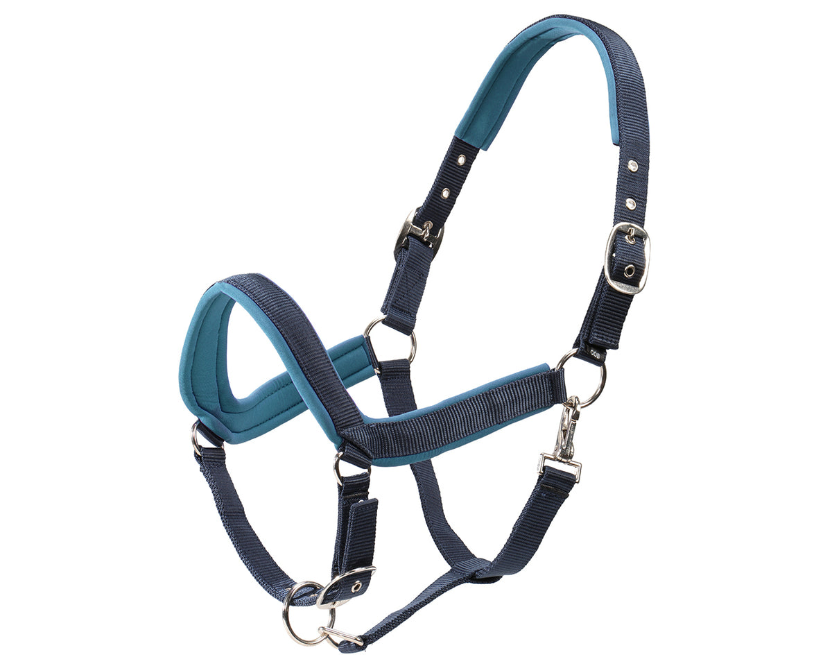 Rancher Neoprene Padded Halter - Navy & Blue | Halters & Lead Ropes ...