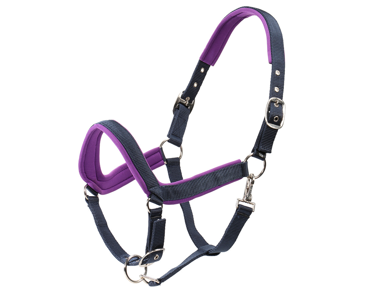 Rancher Neoprene Padded Halter - Navy & Purple | Halters & Lead Ropes ...