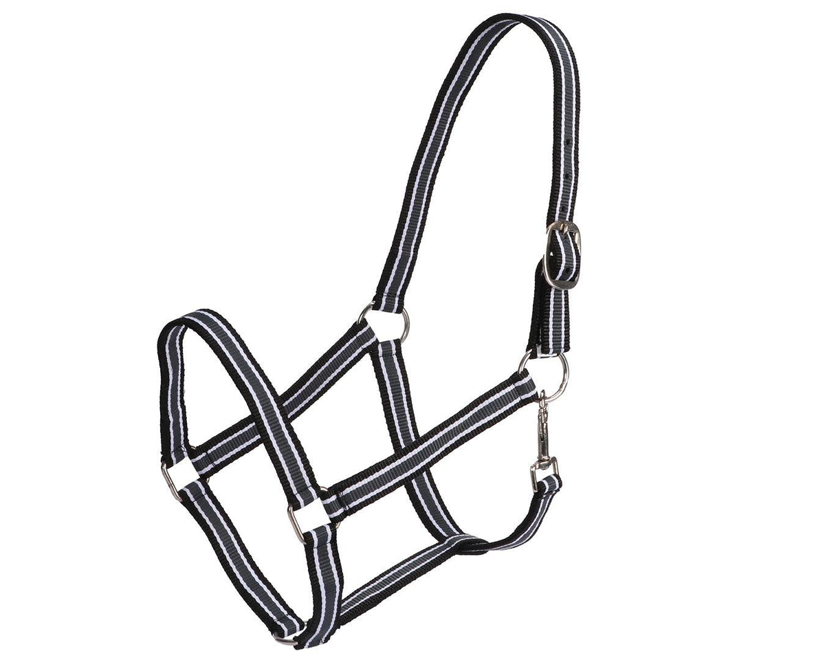 Rancher Striped Stable Nylon Halter | Halters & Lead Ropes – Greg Grant ...