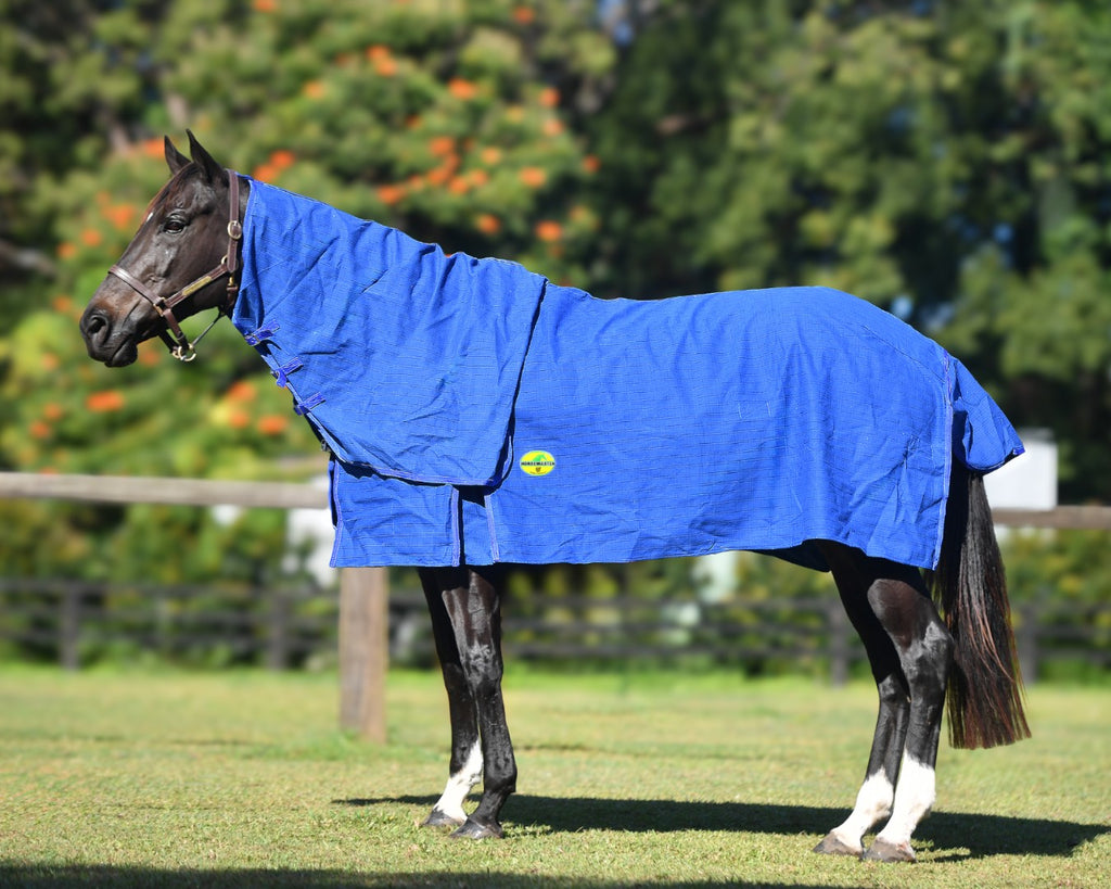 Canvas Horse Rugs – Greg Grant Saddlery