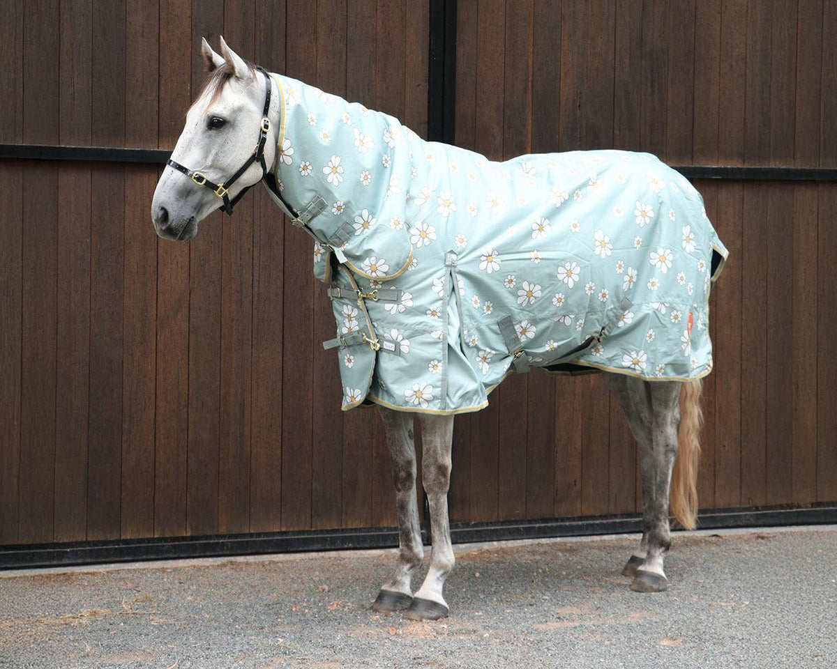 Kozy 1200D Ripstop Horse Rug Combo - Charcoal & Coral | Horse Winter ...