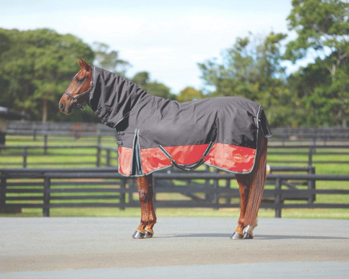 Kozy 1200D Ripstop Horse Rug Combo With 200g Fill - Navy | Horse Winter ...
