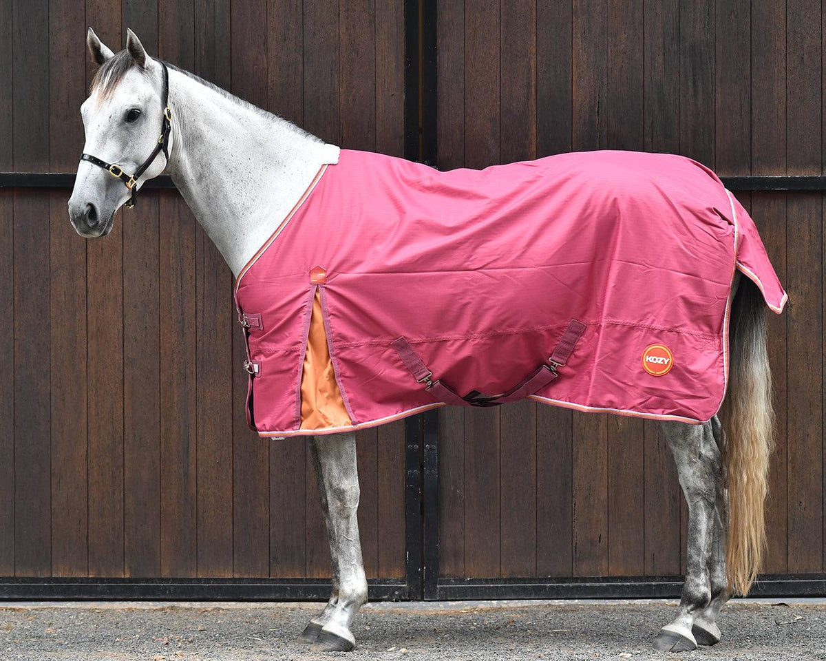 Kozy 600D 100G Fill Winter Rug – Greg Grant Saddlery