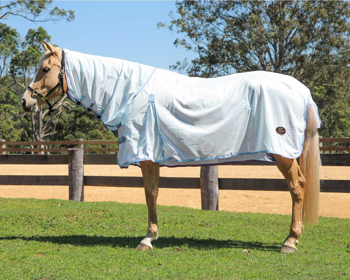 Conrad Fly Mesh Horse Rug Combo - White/Blue – Greg Grant Saddlery
