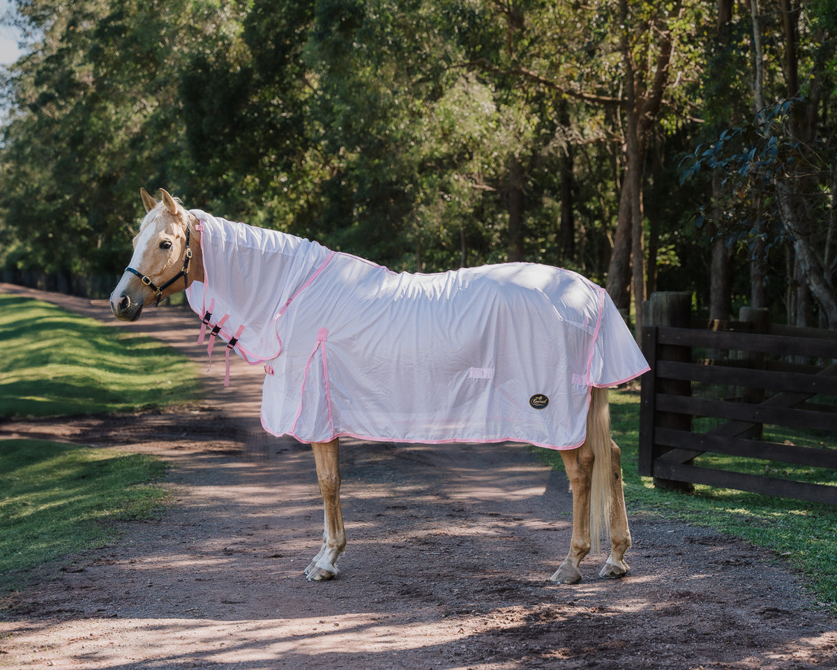 Conrad Fly Mesh Horse Rug Combo - White/Pink – Greg Grant Saddlery