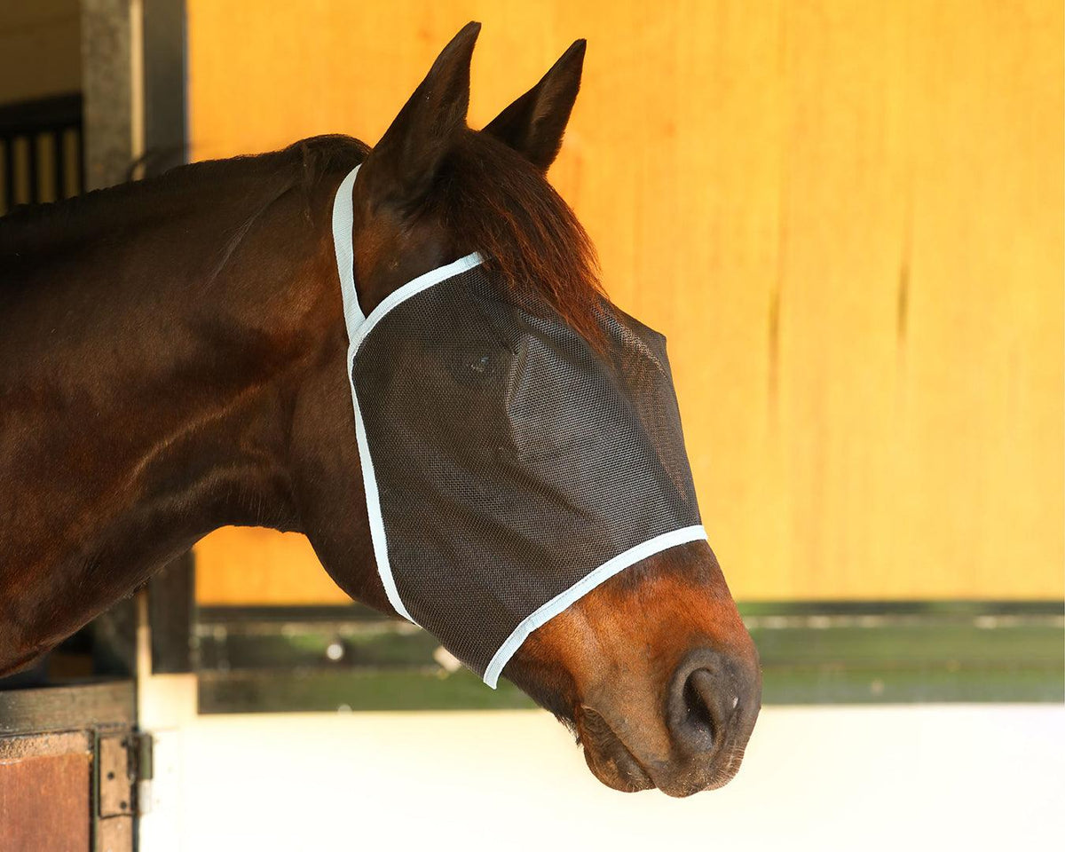 Conrad Everyday Black Mesh Fly Mask – Greg Grant Saddlery