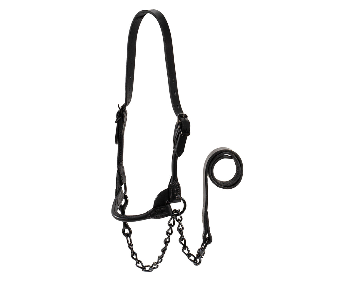 Weaver Black Magic Cattle Show Halter – Greg Grant Saddlery