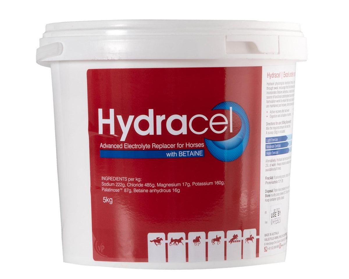Hydracel Electrolyte Replacer | Horse Health Care – Greg Grant Saddlery
