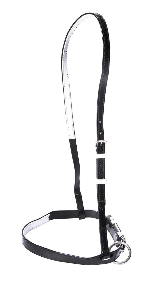 Horse Sense Polo Noseband – Greg Grant Saddlery
