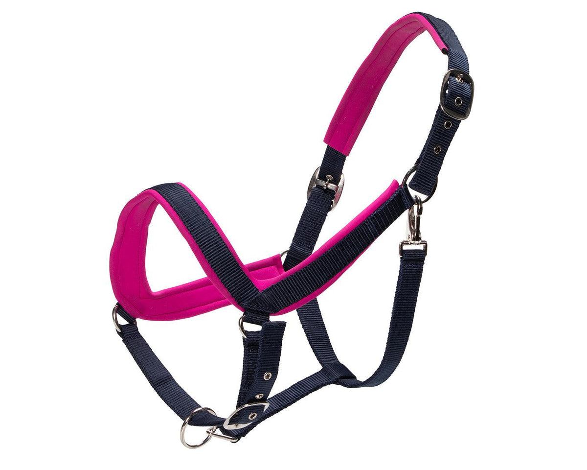 Rancher Neoprene Padded Halter - Navy & Purple | Halters & Lead Ropes ...