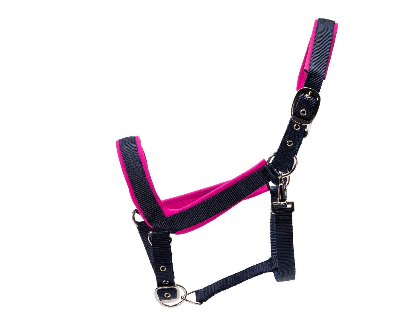 Rancher Neoprene Padded Halter - Navy & Purple | Halters & Lead Ropes ...