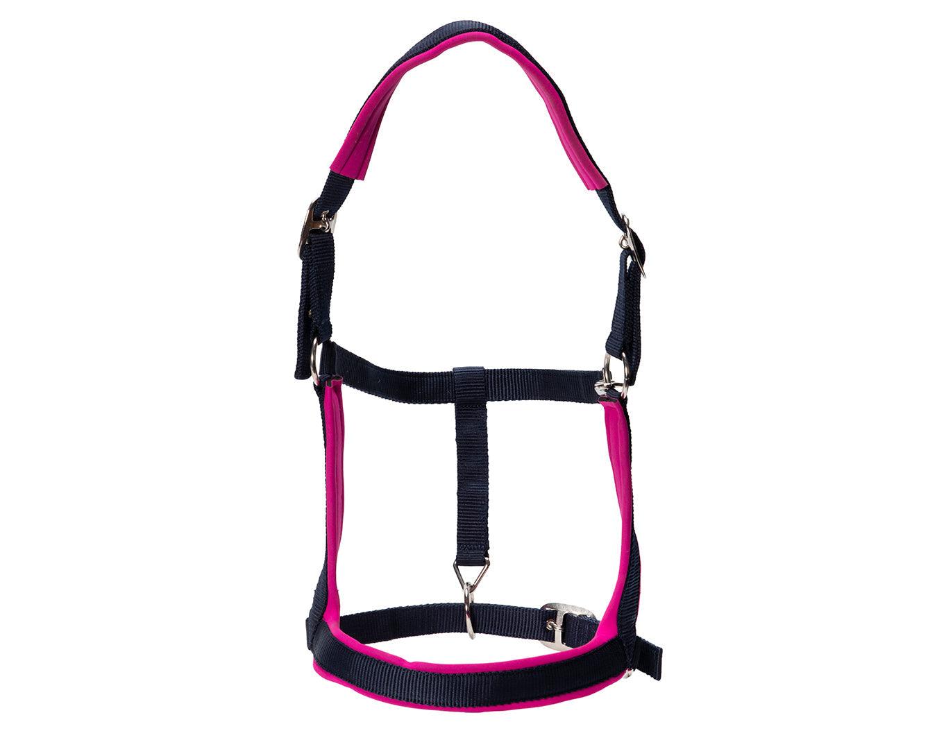 Rancher Neoprene Padded Halter - Navy & Purple | Halters & Lead Ropes ...