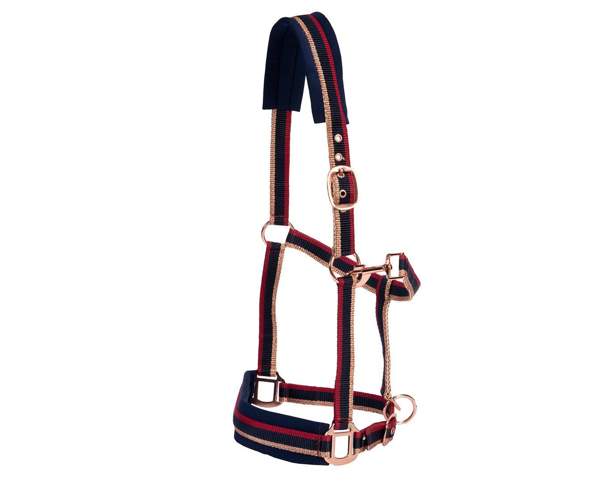 Rancher Fleece Padded Halter With Lead Rope | Halters & Lead Ropes ...
