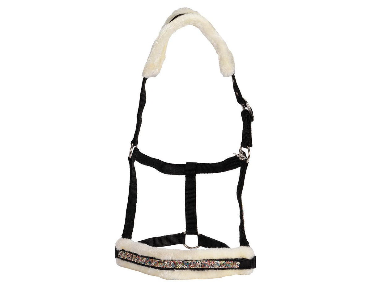 Rancher Fleece Padded Halter - Black | Halters & Lead Ropes – Greg ...