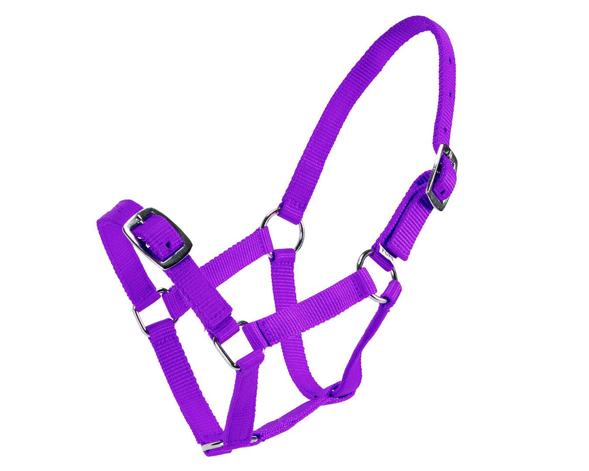Rancher Economy Foal Halter - Purple | Halters & Lead Ropes – Greg ...