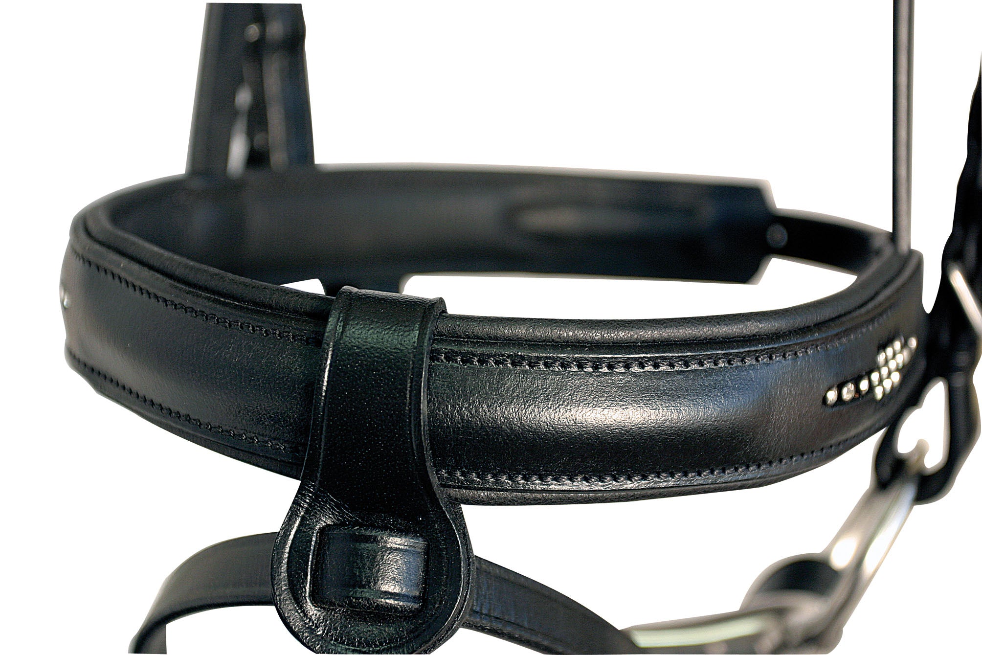 Jeremy & Lord Bling Bridle – Greg Grant Saddlery